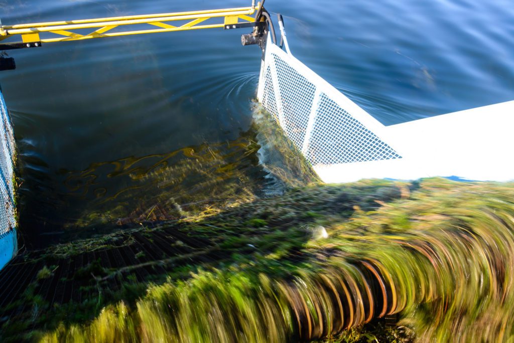 Milfoil Harvesting – Lake Harriet » Murph Shoots