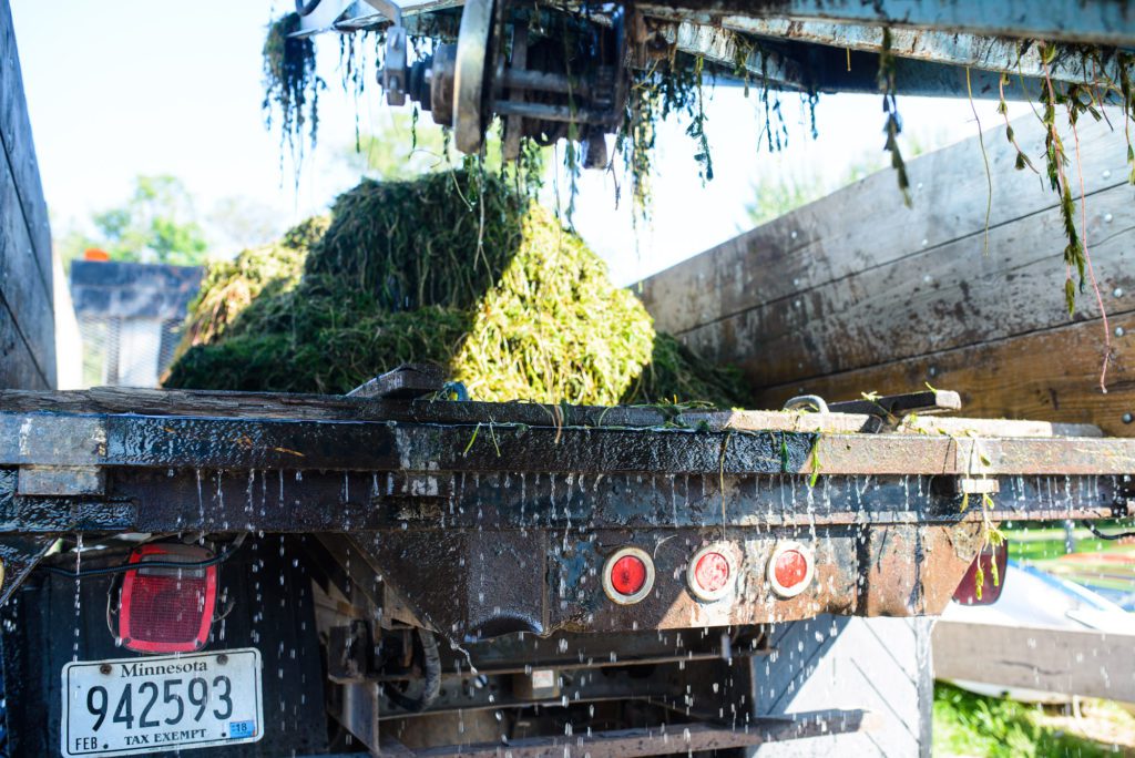 Milfoil Harvesting – Lake Harriet » Murph Shoots